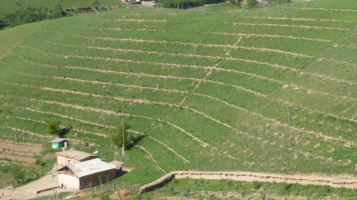 Gradual development of bench terraces from contour ditches | SLM ...