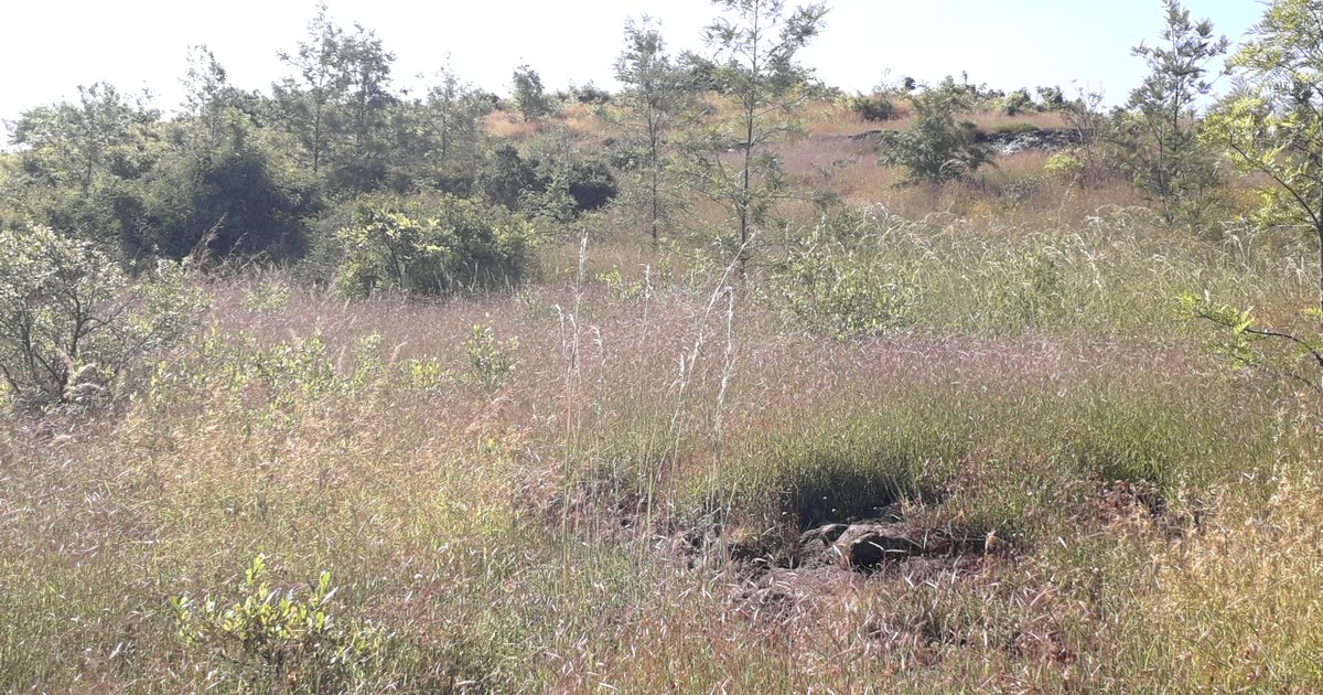 Community-Based Closed Area Management | SLM技术 #4135 | WOCAT