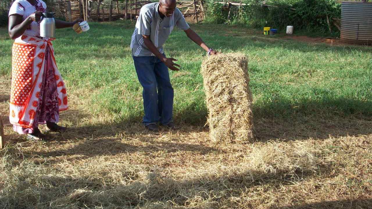 Soil and water conservation. This assists in regeneration of pasture ...