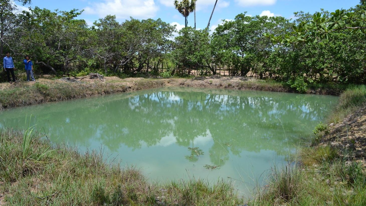 Use of household ponds for garden irrigation and fish production. | SLM ...